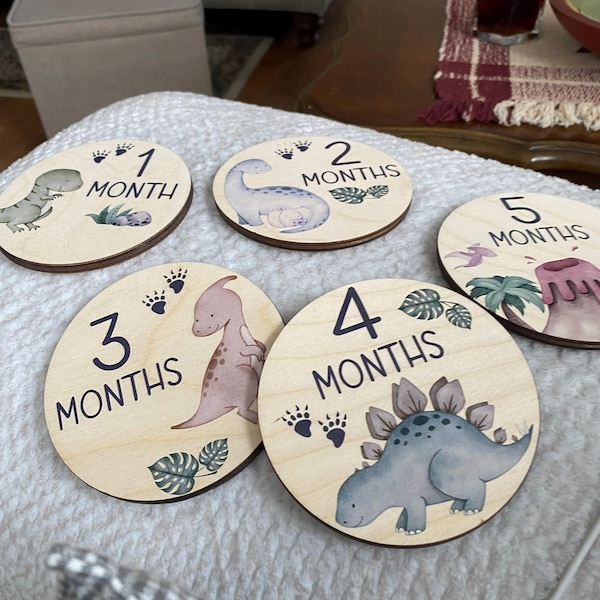 Dinosaur Milestone Cards, Baby Milestone Dinosaur Discs Marker, Wood ...