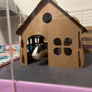 Cardboard Hobbit Style Hidey - Etsy