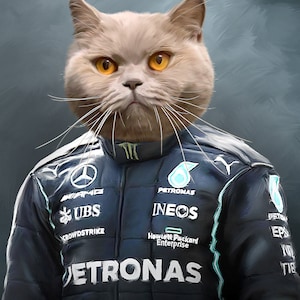 Mercydes, Formula Racing Car, Funny Pet Lover Gift, F1 Driver Team Pet ...