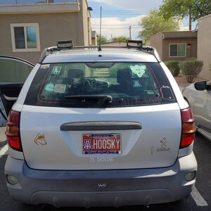 Paint War Pony Decal stubborn as a Mare Equine | Etsy