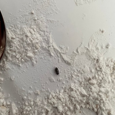 Piman Bouk Haitian Old-fashoned Coconut Milk Hot Sauce - Etsy