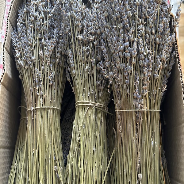 Dried Milk Thistle Leaves 85g3 Oz 1,95kg68.8 Oz Silybum Marianum - Etsy