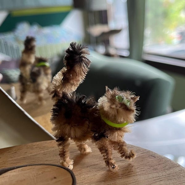 SURPRISE FUNNY FERAL One Posable Chenille Stem, Pipe Cleaner Kitty Cat ...