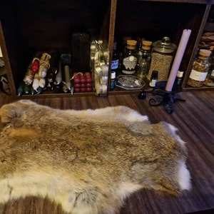 2x WHITE Rabbit Skin Fur Pelt Tanned for Crafts, Fabric, LARP, Animal ...