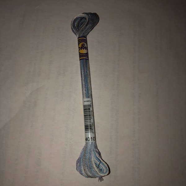 DMC 4010 Variegated Embroidery Floss Winter Sky - Etsy