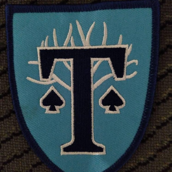 Heartstopper Truham Grammar School Embroidered Patch Iron on Sew Badge ...