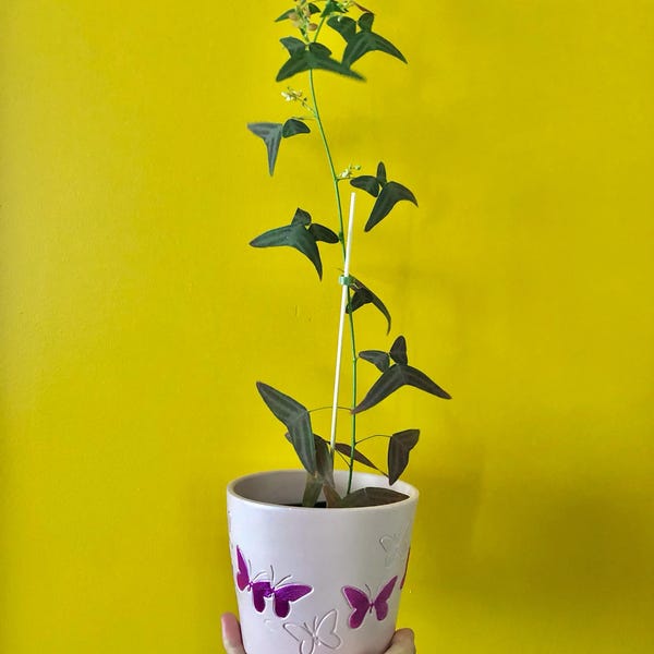 XL Blank Made of Wire / Large Lampshade / DYS / Upcycle Lamp / Crafting ...