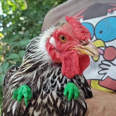 3D Printed Chicken Arms Velociraptor T-rex Dinosaur Arms Various Colors ...