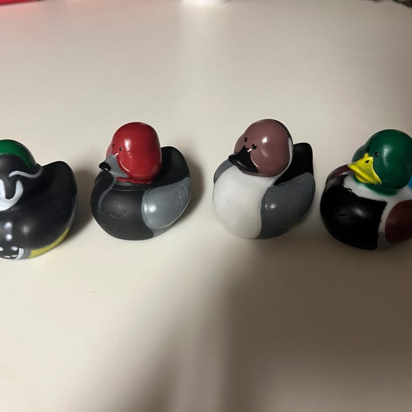 Summertime Fruit Themed Rubber Duck Ducks - Kiwi Strawberry Watermelon ...