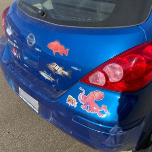 Octopus Art Print, Original Pacific Giant Octopus Pacific Northwest ...