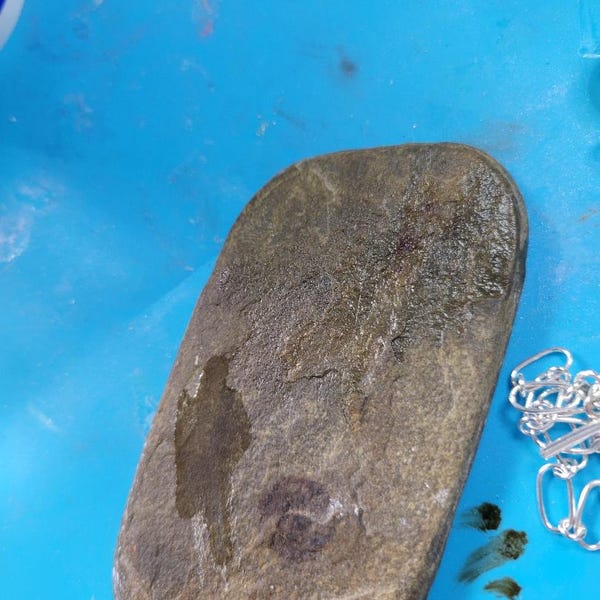 Pearly Light Blue Nautilus Shell Necklace, Sterling Silver Choker ...