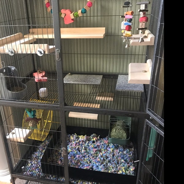 Natural Kiln Dried Pine Ledge Perch With Scatter Poop Guard - Choose ...