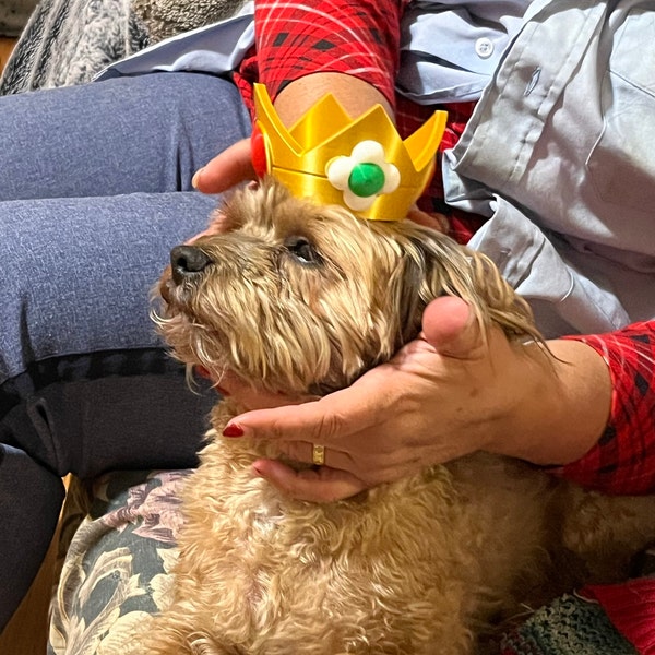 Flower Crown, Flower Princess Cosplay Set - Etsy