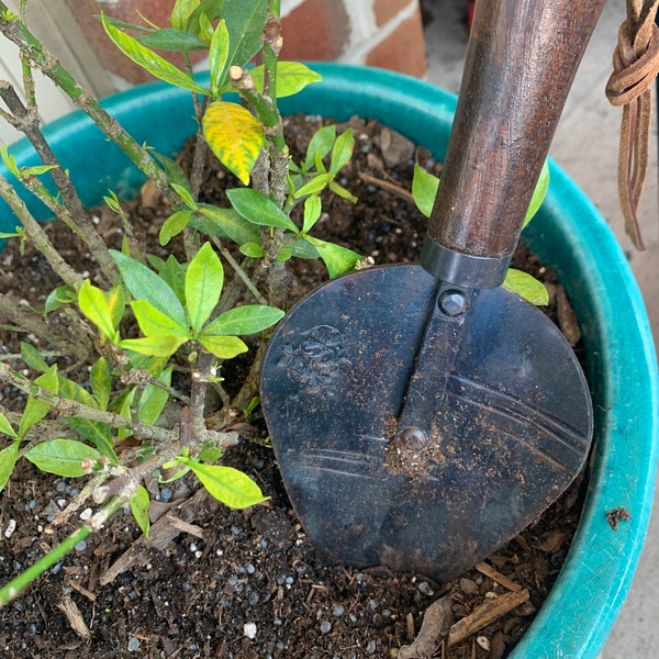 Handforged Garden Planting Trowel With Handturned Black Walnut Handle ...