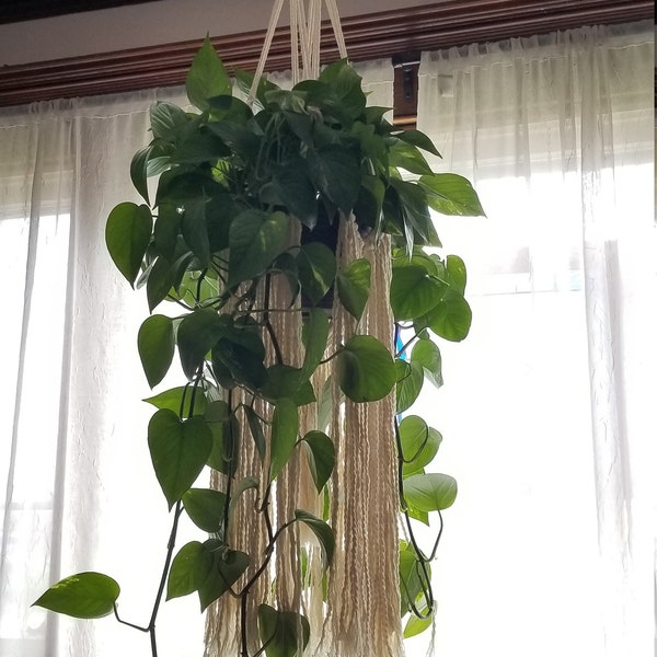 Bohemian Macrame Plant Hanger, Macrame Plant Hangers, Hippie Planter ...