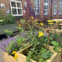 Hedgehog Pond Ramp, Hedgehog Conservation, Pond Decorations, Gardener ...