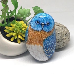 Cute Owl Painted Rock Art Unique Owl Gifts and Room Decor | Etsy