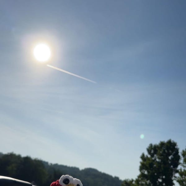 PATTERN!!! No Sew Crochet Pocket Character Puppet Pattern| Crochet ...