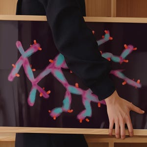 Poster Mockup With Person Poster Roll Mockup Unrolling Rolling Poster ...