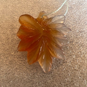 Pink Conch Shell made of Powder of Shell Color is Enhanced - Etsy