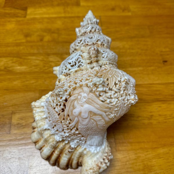 Carved Pearl Nautilus Shell Phoenix Sculpture,real and Natural Sea ...