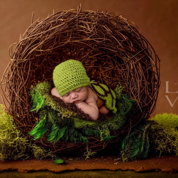 Newborn Digital Backdrop, Unique, Earthy, Nest, Fairy, Moss, Plants ...
