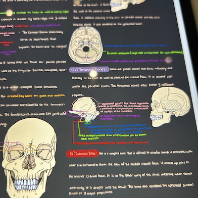 110 Anatomy Organ Stickers, Goodnotes Stickers, Notability Stickers ...