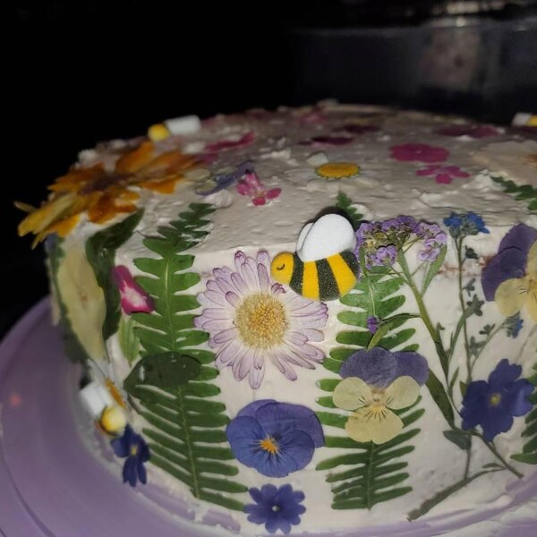 50 Pieces FOOD SAFE Pressed Flowers | Cake Decoration Flowers - Etsy