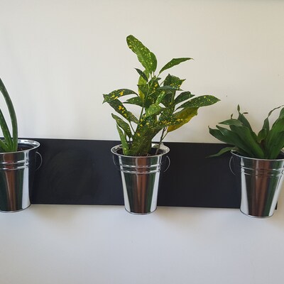 Indoor Wall Planter Horizontal Mount one Row of 3 Pots - Etsy