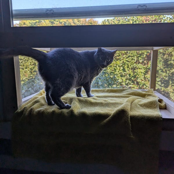 Catio DIY Digital Plan - Window Box for Cats - Etsy