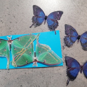 Silk Luna Moth Extra Large Lapel Pin Brooch 3d Three-layered - Etsy