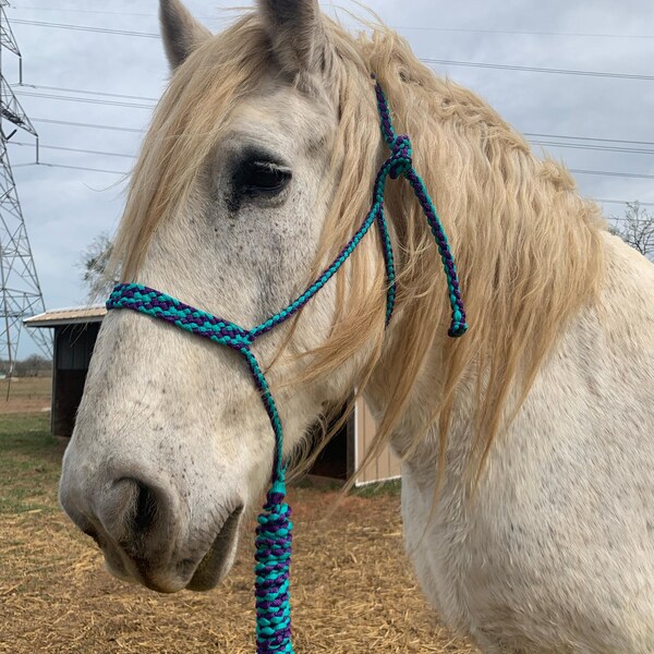 4-knot Rope Halter Only - Assorted Colors - Newborn/foal/mini/yearling ...
