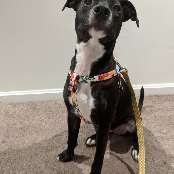 Dog Harness Leash Package please Note the Patterns of Your Choice at ...