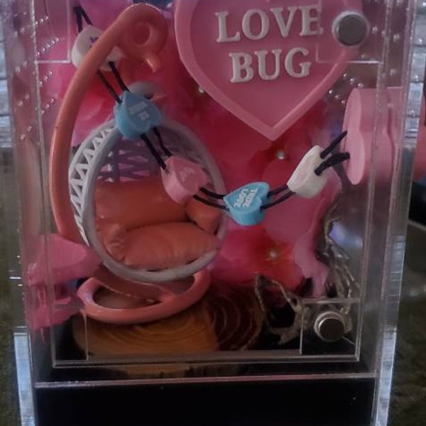 Deluxe Isopod Starter Kit Isopod Terrarium Kit for Isopods With Isopod ...