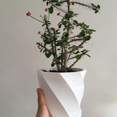 3D Printed Parametric Planter With Drip Tray Multiple - Etsy