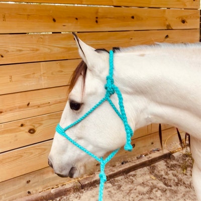 4-knot Rope Halter Only Assorted Colors Newborn/foal/mini/yearling/weanling/arabian/average ...