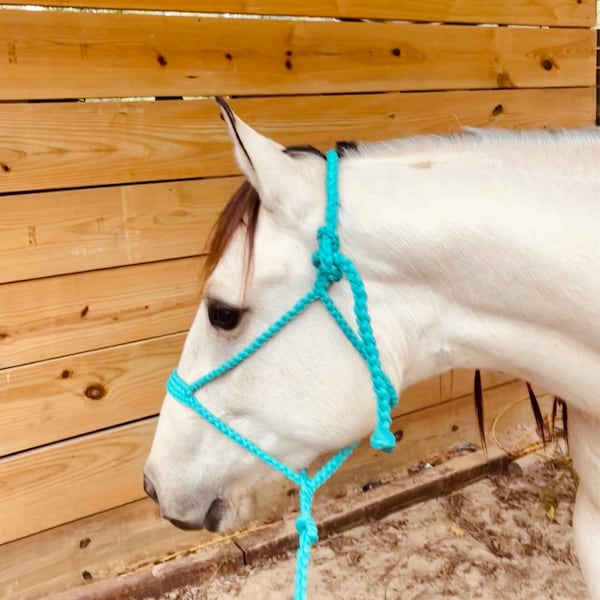 4-knot Rope Halter Only - Assorted Colors - Newborn/foal/mini/yearling ...