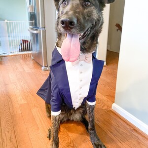 Navy Blue Dog Tuxedo With Blush Bow Tie Dog Wedding Attire Formal Dog Suit English Bulldog ...