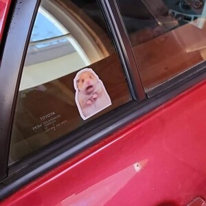 Surprised Shock Hamster Meme Funny Car Bumper Sticker Interior or ...