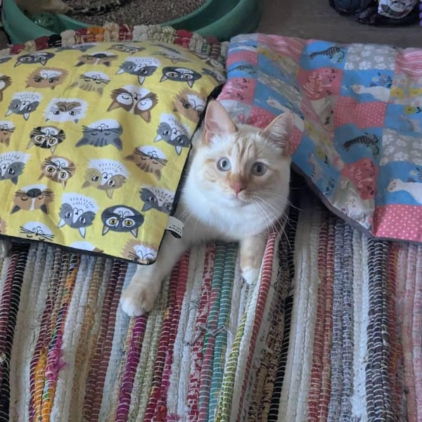 CATNIP BEDS (many Patterns Available) With FRESH Catnip!!! by ...