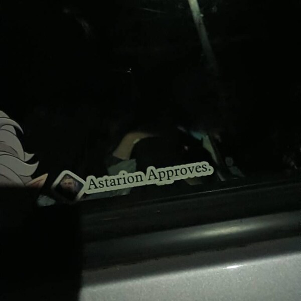 Baldur's Gate 3 Companions Approval Sticker! | Bg3 Stickers ...