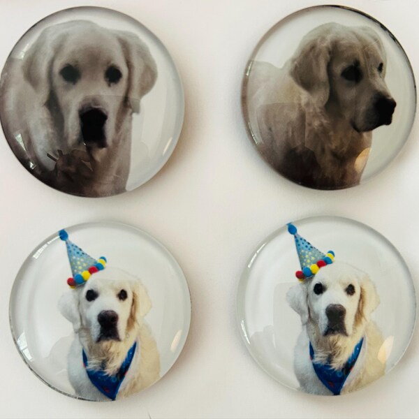 Custom Glass Photo Magnets | Fridge Magnets Personalized Refrigerator ...