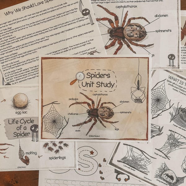 Spanish Numbers Play Dough Mats Fine Motor Skills Counting Preschool ...