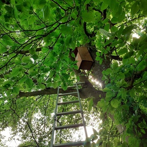 Personalised Gothic Bird Table - Etsy