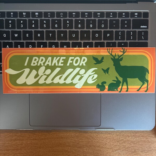 Have a Good One, Stranger! – Removable Weatherproof Vinyl Bumper ...