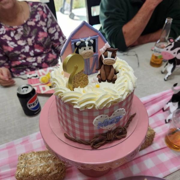 Gingham Cake Wrap Blue Pastel Picnic Edible Image Vintage Plaid ...