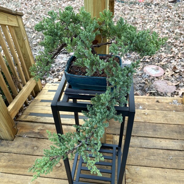 Ceramic Humidity / Drip Tray for Bonsai Pot 8 Inch Tray - Etsy