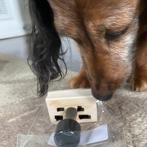 Custom Ohio State Return Address Stamp Perfect Gift for | Etsy