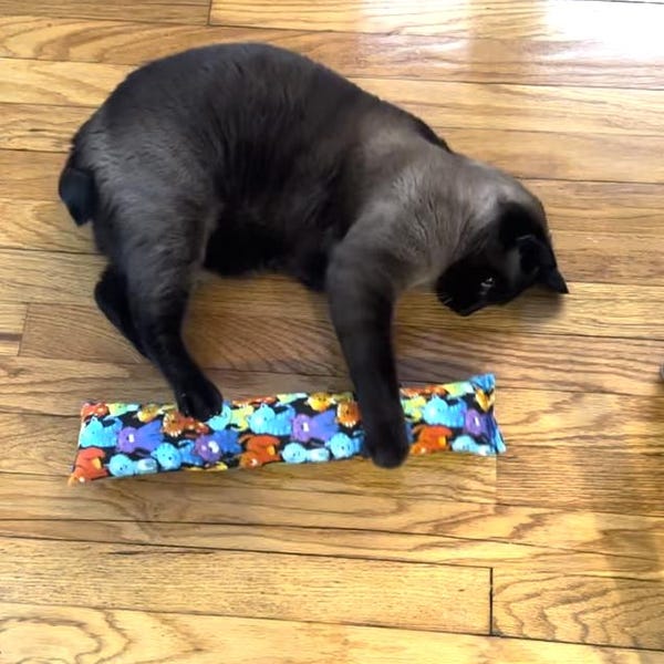 16” Catnip Toy - Large Kicker - Cat Toy - Cat Gift - Organic Catnip ...