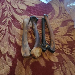 Rare Black Rooster Bone Set for Divination Throwing Bones Bones for ...